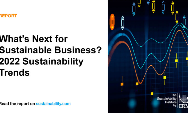 What’s Next for Sustainable Business? 2022 Sustainability Trends Report – UNited Women of ...