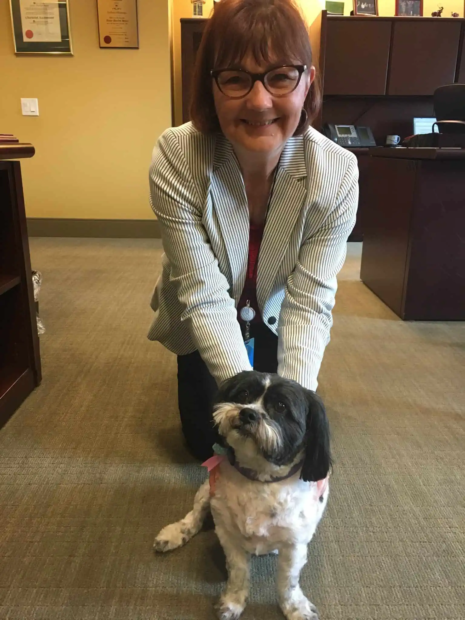 12 talented and influential women who’ve left their mark on Mississauga ...