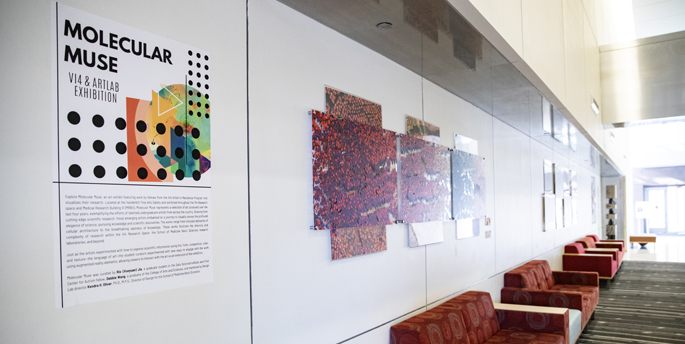 ‘Molecular Muse’ exhibit features Artist-in-Residence program’s science ...