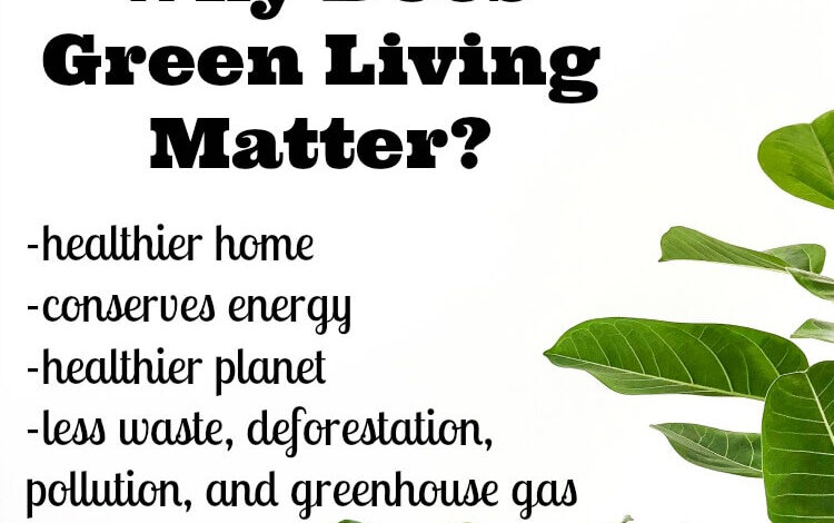 Inspiring Sustainable Green Living Ideas – UNited Women of Influence ...