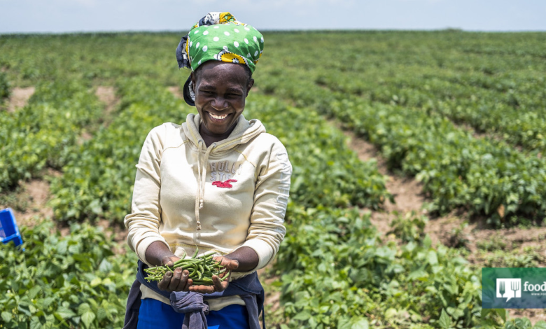 SDG2 Advocacy Hub Launches Two Anti-Hunger Campaigns at COP27 – Food Tank – UNited Women of ...